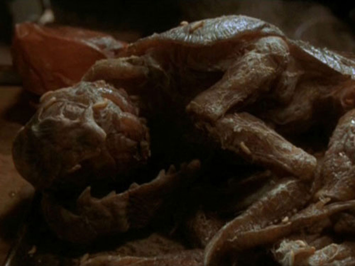 25 best bug movies ever | Stuff