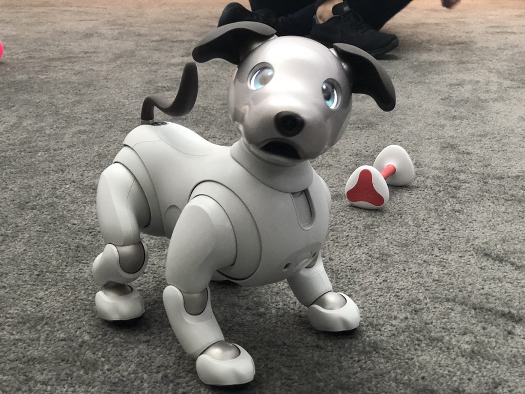 Sony Aibo ERS-1000 hands-on review | Stuff