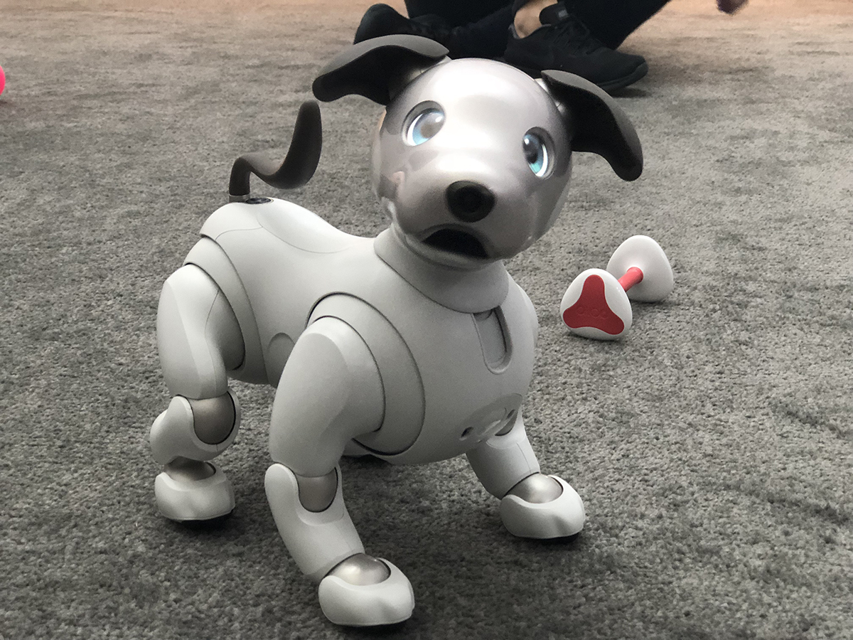 Sony Aibo ERS-1000 hands-on review | Stuff
