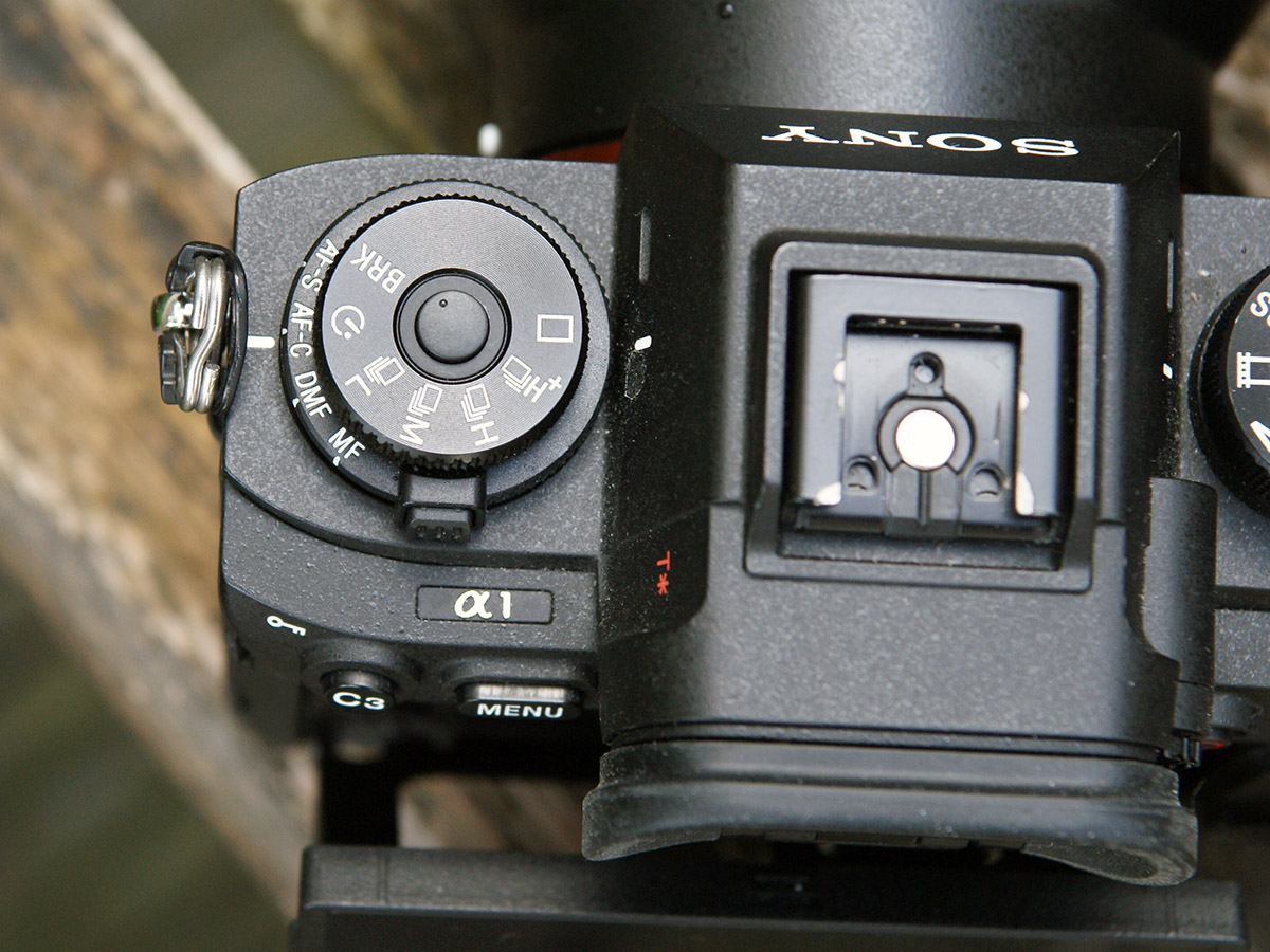 Sony A1 review | Stuff