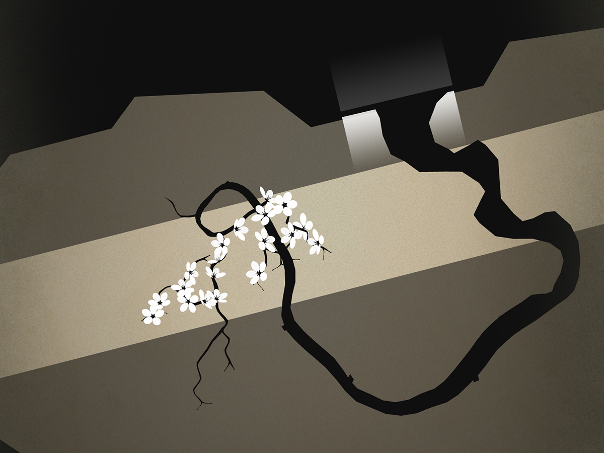 App of the Week: Prune review | Stuff