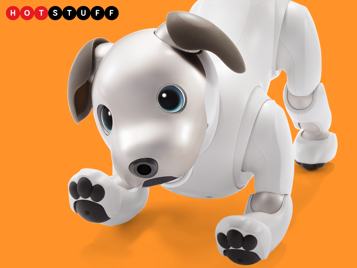 Sony’s Aibo is reborn with new doggy AI | Stuff