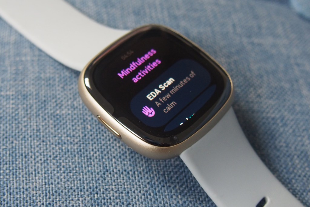 Fitbit Sense 2 review: a fitness-first watch | Stuff