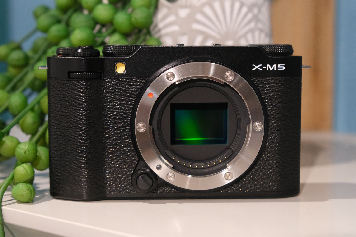 Fujifilm X-M5 hands-on review: honey I shrunk the system camera | Stuff